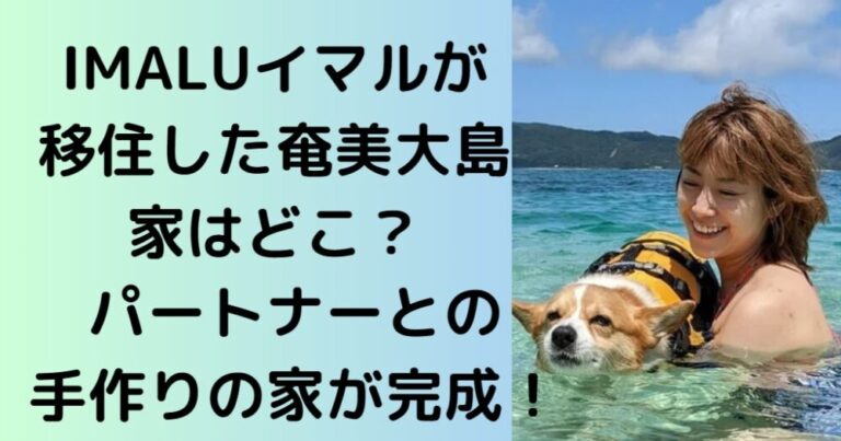 IMALUイマルが移住した奄美大島の家はどこ？パートナーと手作りの家が完成！ | サンタペディア